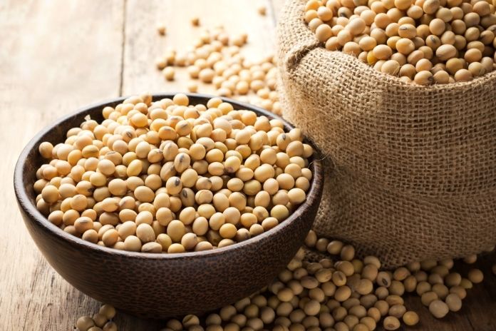 Soy - Healthy Or Unhealthy? The Fact Check