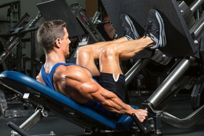 Leg Press In The Gym And Bodybuilding