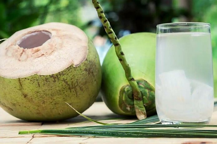 Coconut Water: Properties And Health Benefits