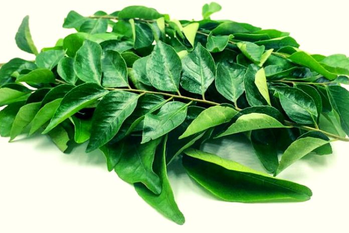 Curry: Properties And Use Of The Spice Mix