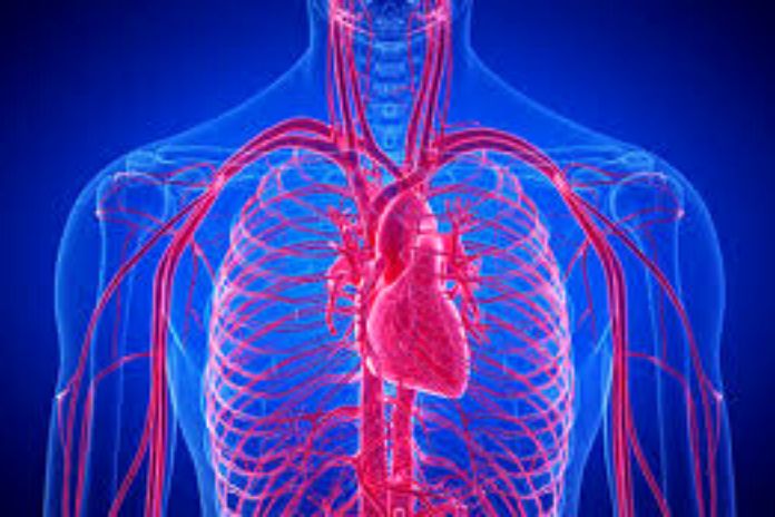 What Is Angiography? All About It