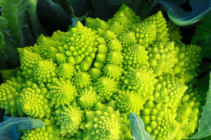 How Do You Cook Romanesco?