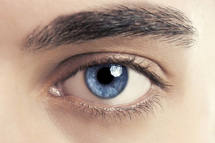 Here You Can Know About The Human Eye