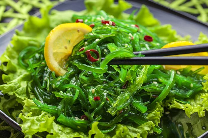 Edible Seaweed: Varieties, Properties And Benefits
