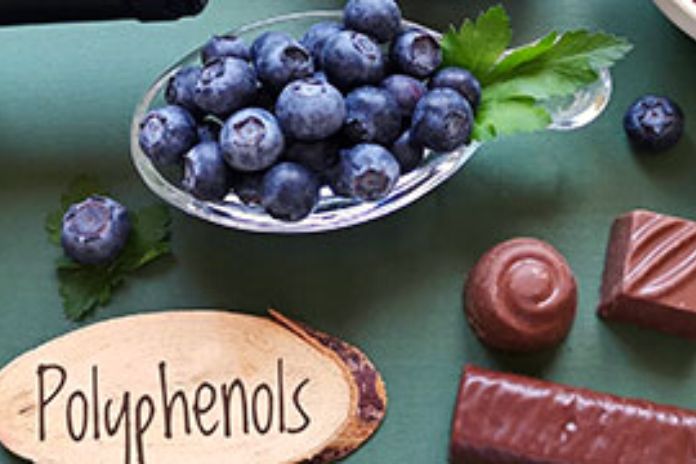 What Are Polyphenols, And What Are They Suitable For?